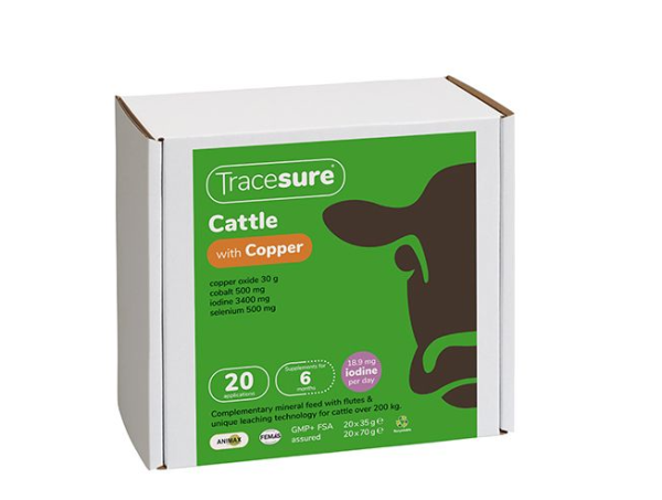 Tracesure Advanced Cattle with Copper Bolus 20s - Buyrite Solutions
