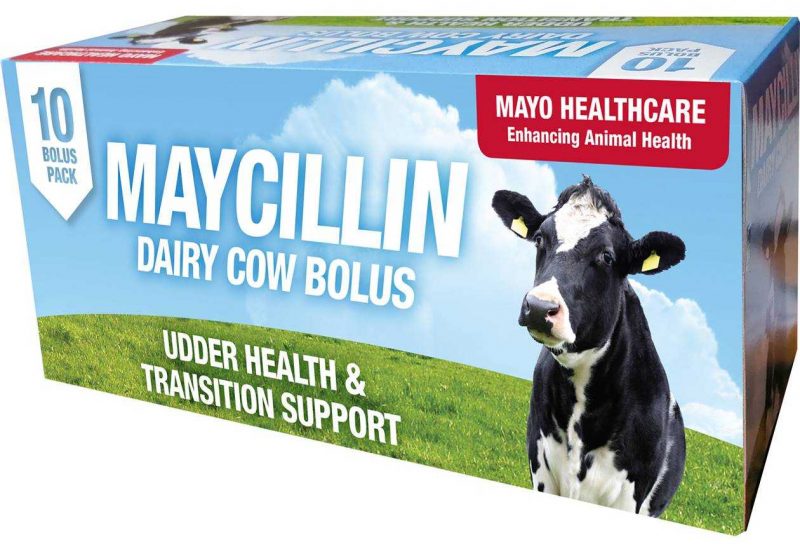 Stomach Magnet Bolus 12 Pack - Buyrite Solutions