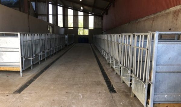 Pre-calving checklist Archives - Buyrite Solutions